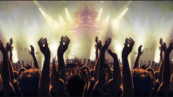 The Path to Fandom: A Guide to the Fan Journey – Analias